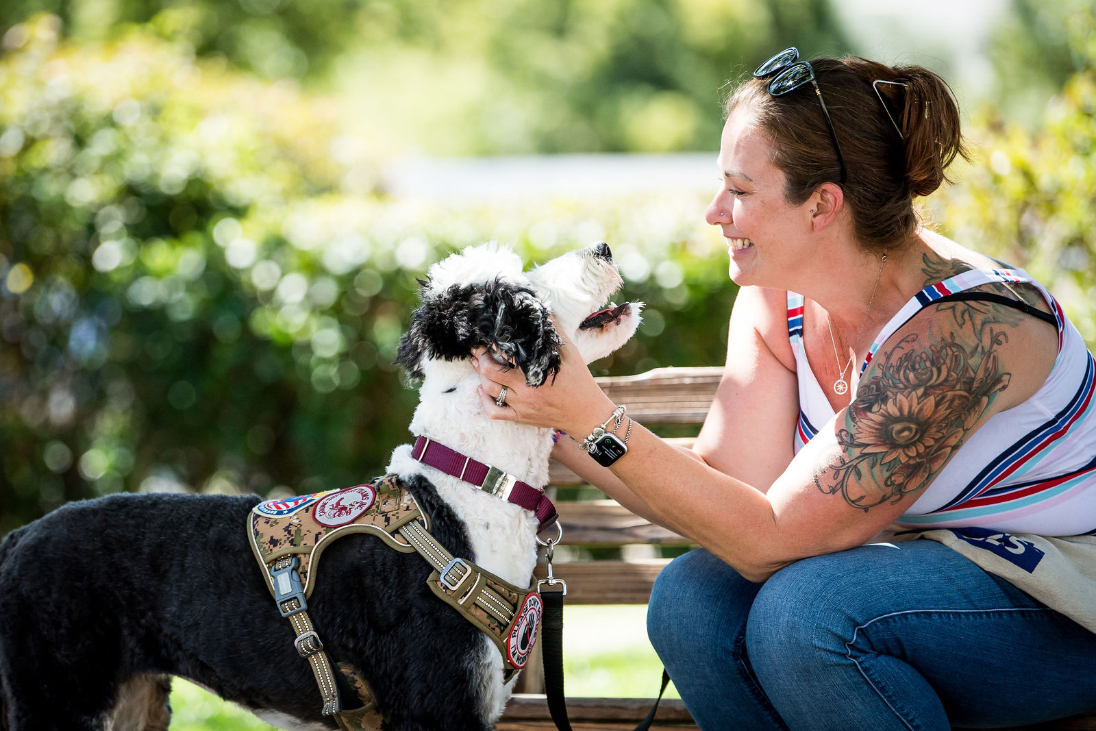 Who We Are - Canine Support Teams