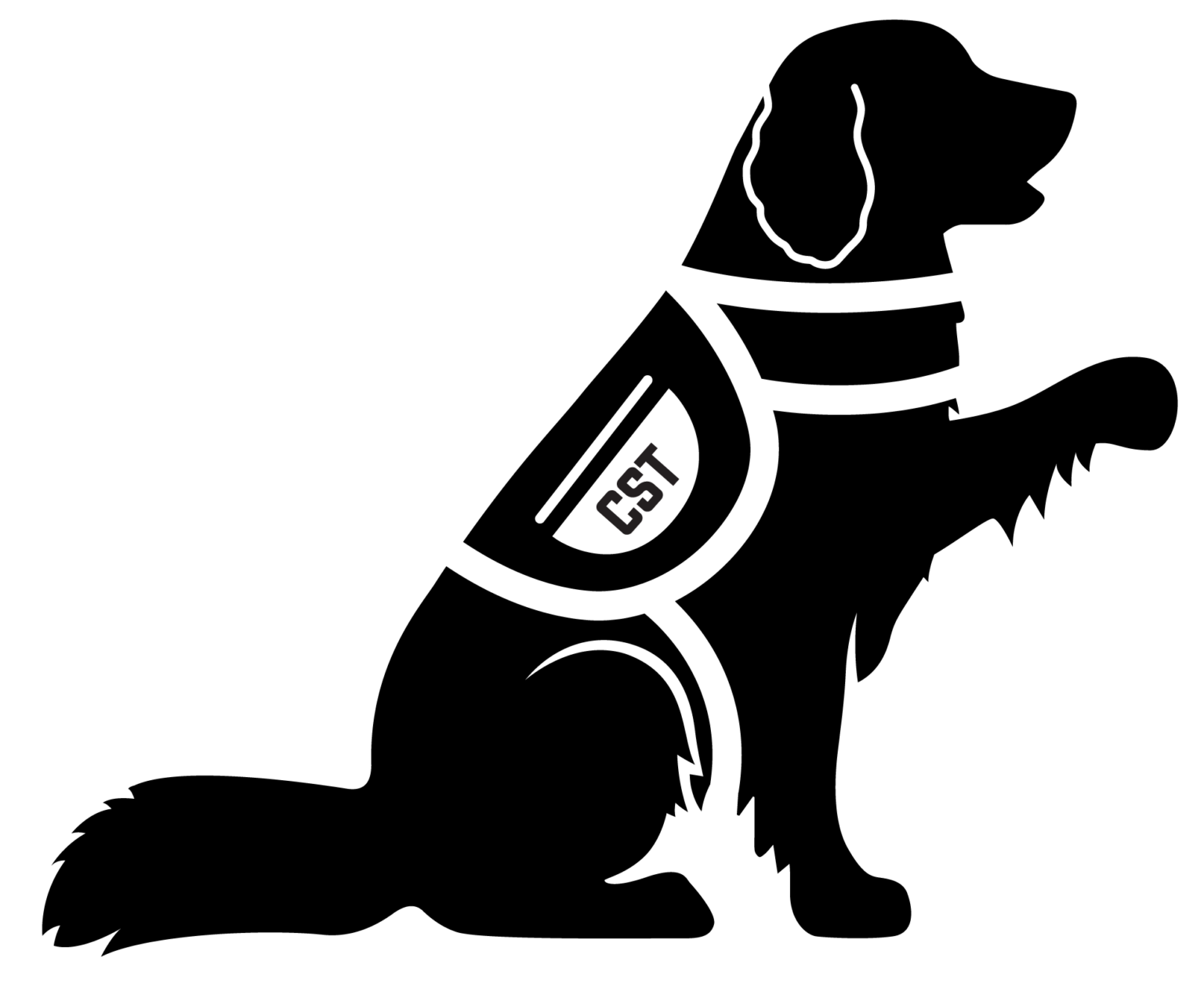 Canine Support Teams - Changing Lives One Service Dog At A Time