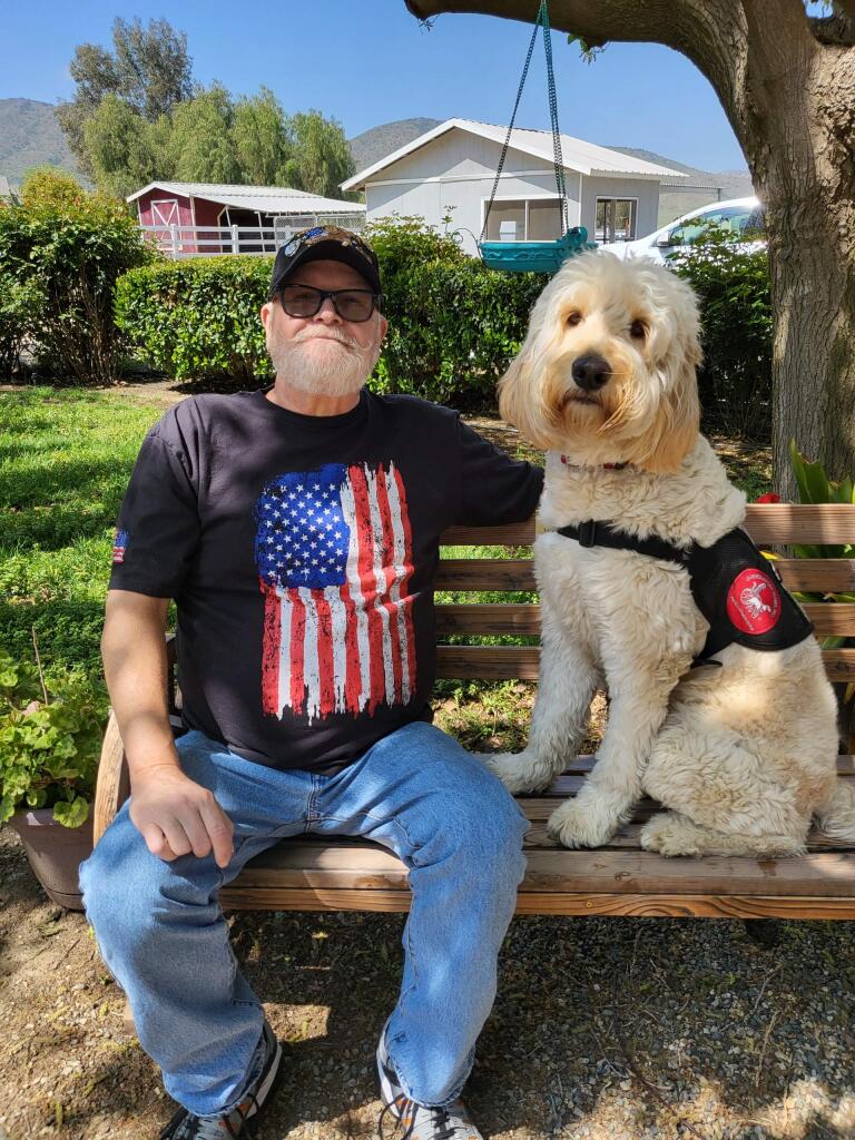 Canine Support Teams Receives Federal Grant to Provide Veterans with ...