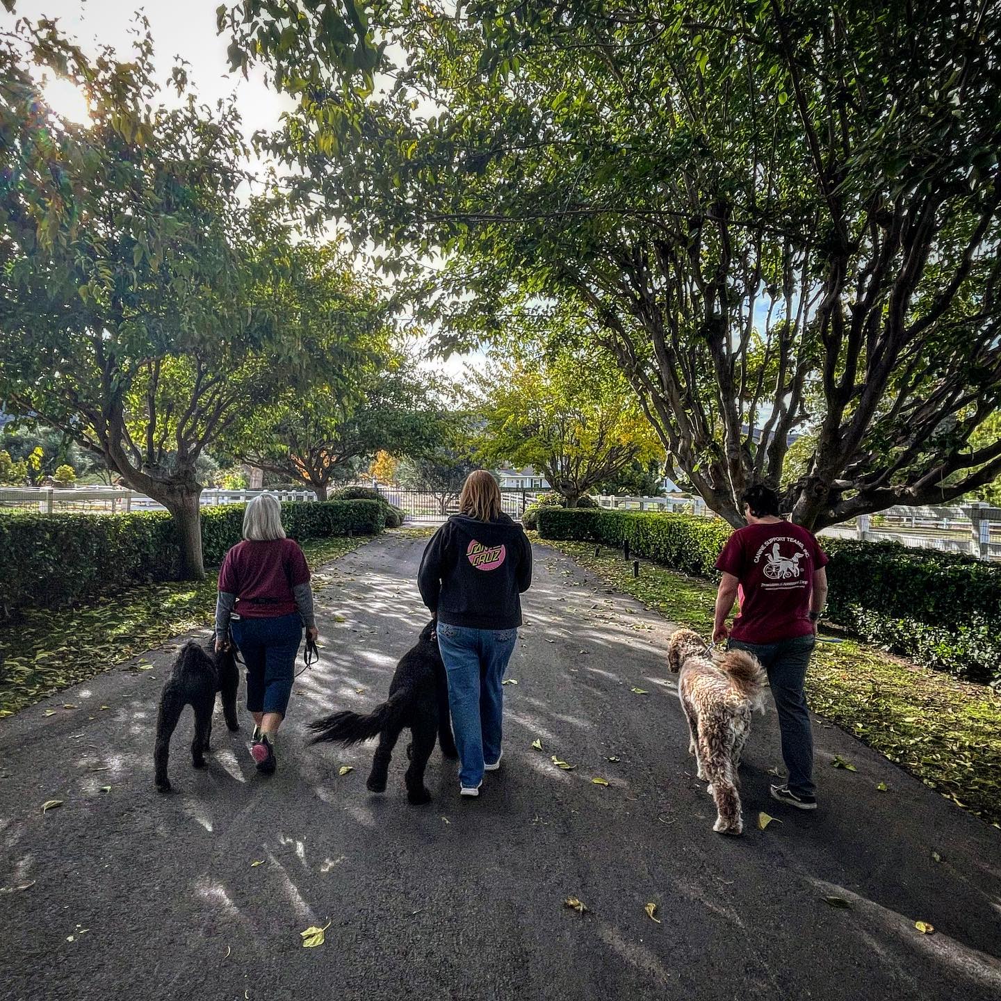 Wag & Walk Fundraiser - Canine Support Teams